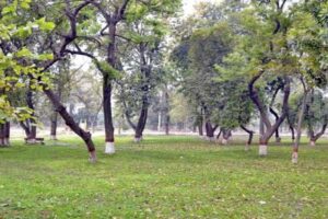 Chichawatni District - Pakpedia