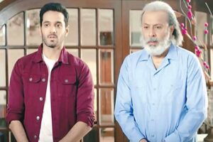 Noor Ul Hassan - Pakpedia