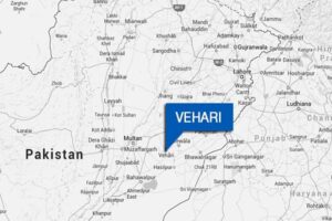 Vehari