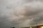 Vehari