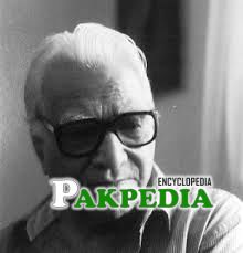 Shaukat Siddiqui- Profile, Literary Career and Tributes