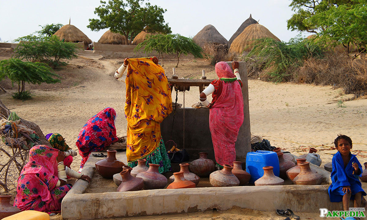 Umerkot - Education, Population, Institutes, Transport, and Map