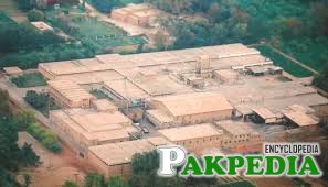 Okara City- History, Geography, Education, Culture, & Agriculture