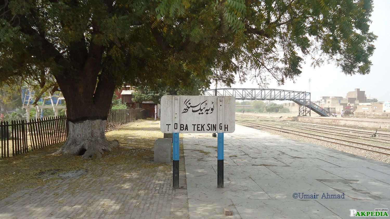 Toba Tek Singh - History, Education, Industry and Population