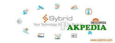 Sultan Ali Lakhani (Businessman) - Biography, Education, Career